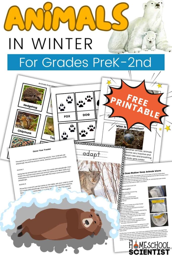 Animals in Winter Lesson and Worksheets - The Homeschool Scientist