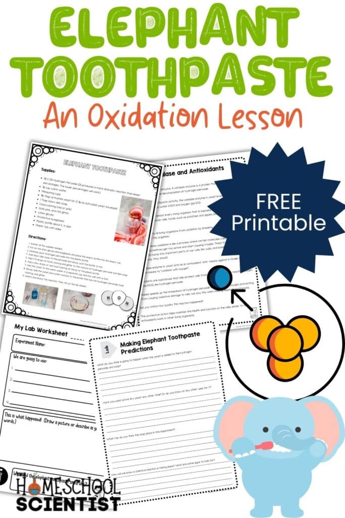 Elephant Toothpaste Recipe and Experiment with Worksheets - The ...