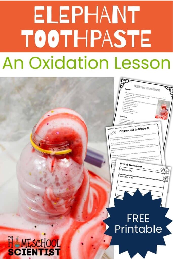 Elephant Toothpaste Recipe and Experiment with Worksheets - The ...