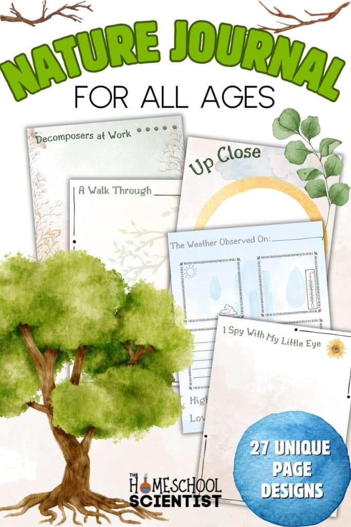 Nature Journal Printables - The Homeschool Scientist