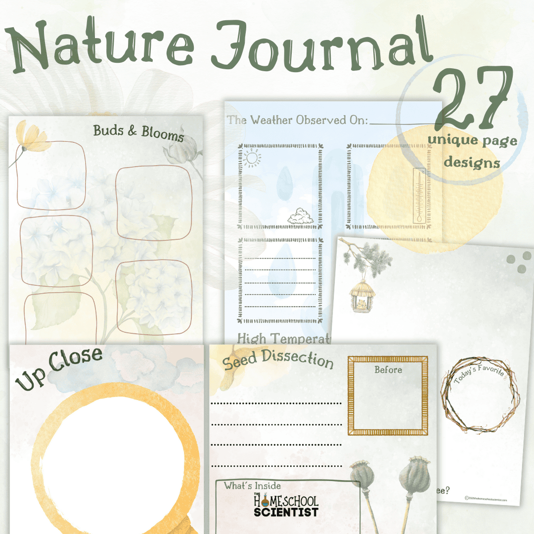 Nature Education Printables