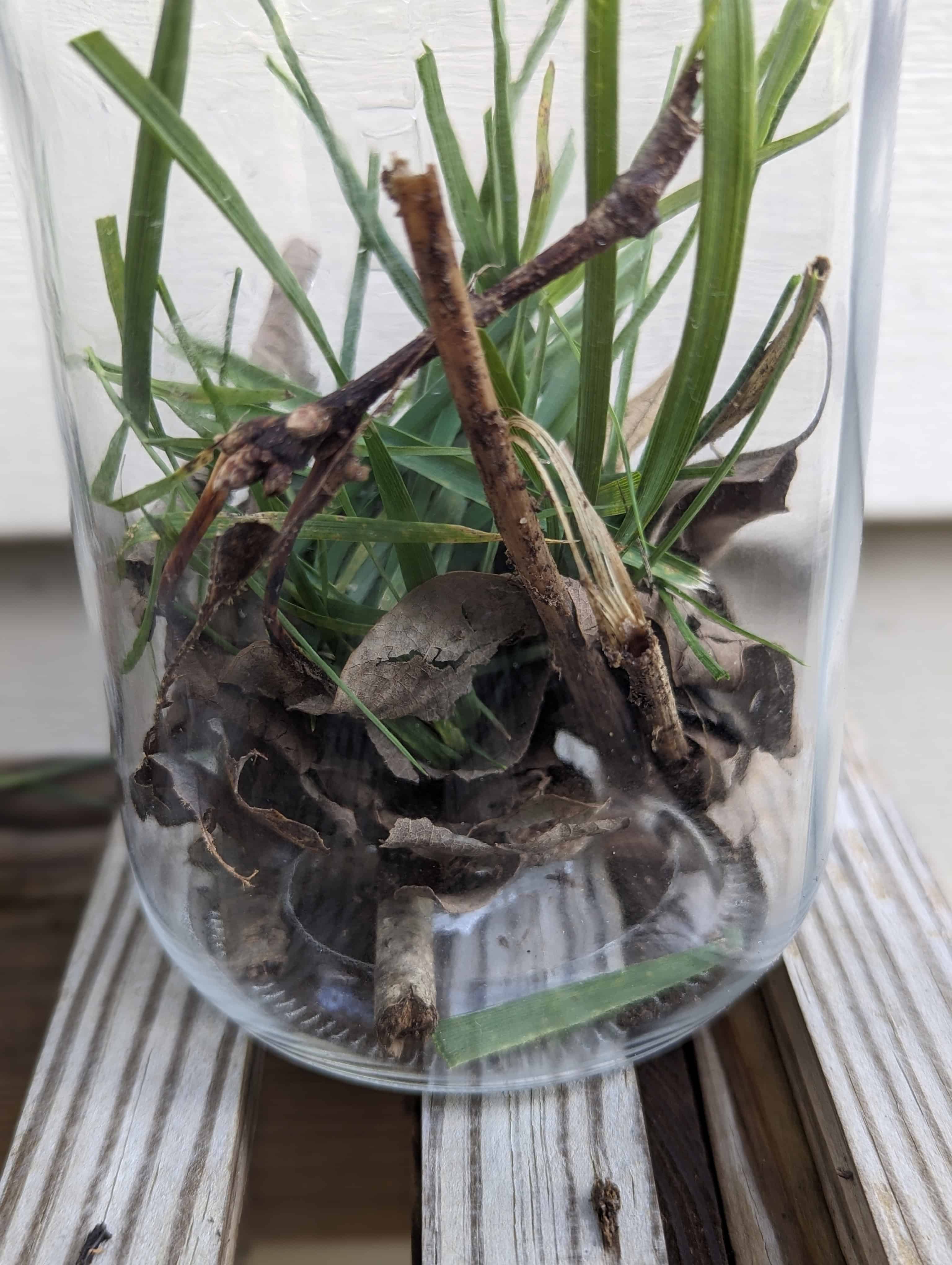 Earth Day Activity- Composting Experiment and Activity for Kids - The ...