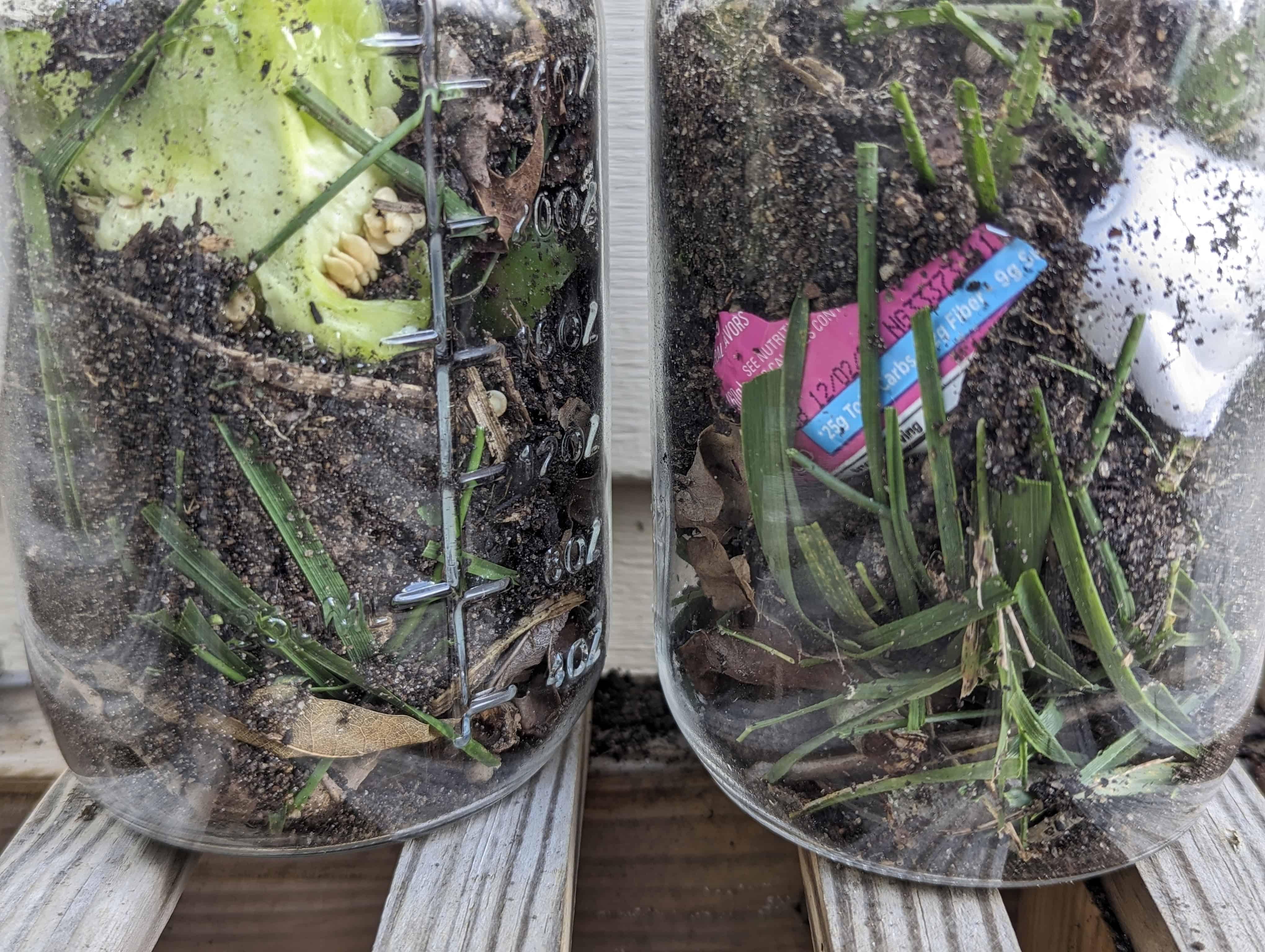 Earth Day Activity- Composting Experiment and Activity for Kids - The ...