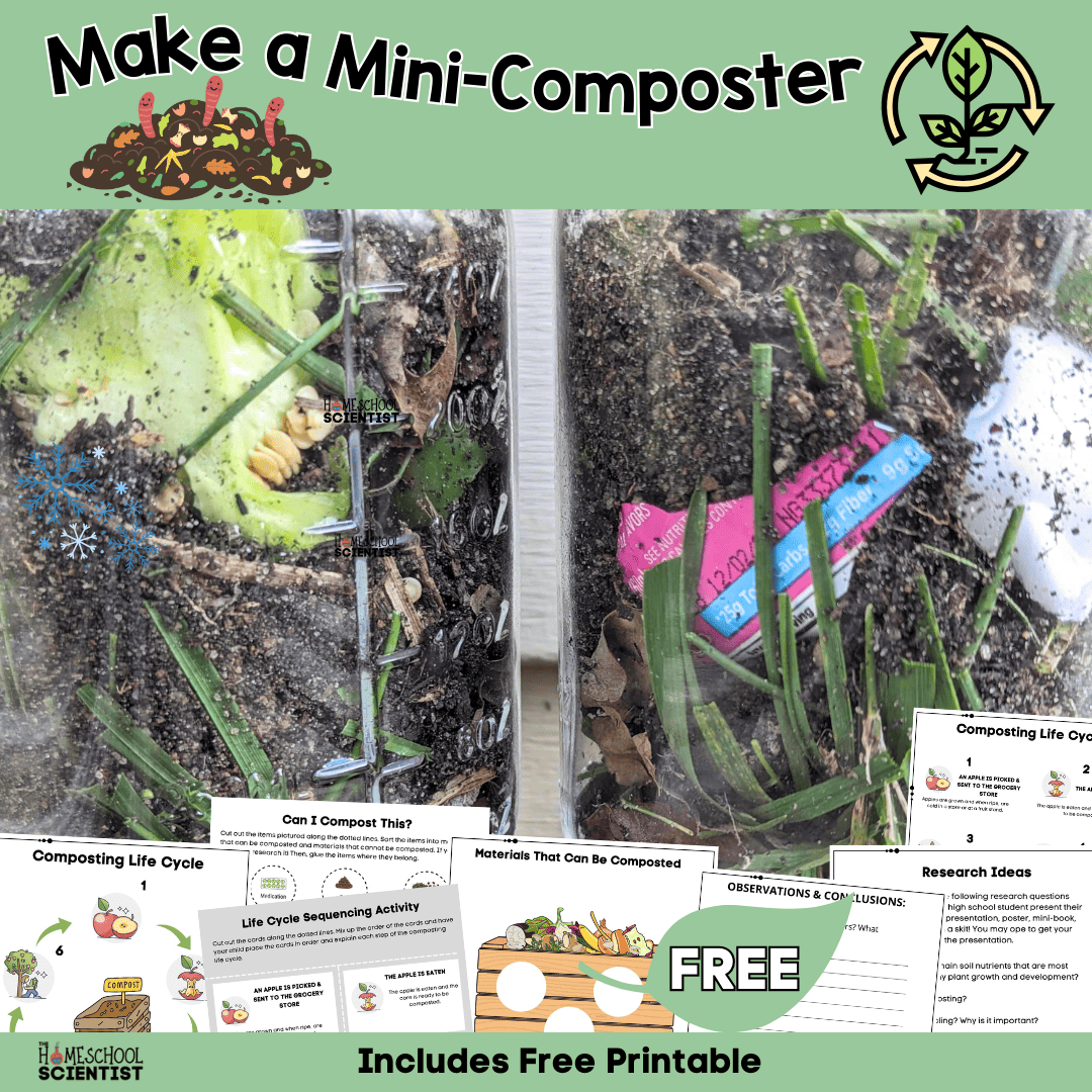 Earth Day Activity- Composting Experiment and Activity for Kids - The ...
