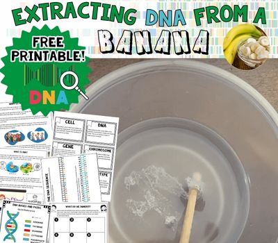 Chemistry - The Homeschool Scientist