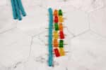 Make a DNA Model with Gummy Bears and Candy - The Homeschool Scientist