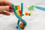 Make a DNA Model with Gummy Bears and Candy - The Homeschool Scientist