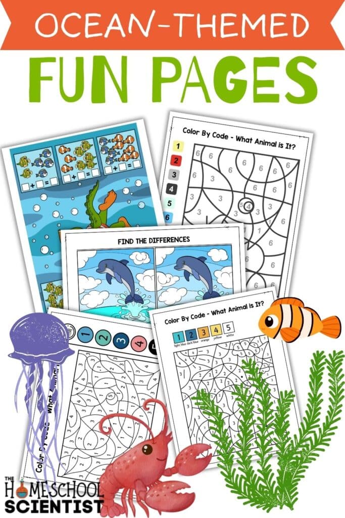 Ocean Themed Math Activities - The Homeschool Scientist