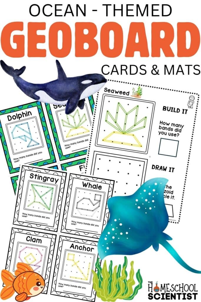 Ocean Themed Math Activities - The Homeschool Scientist