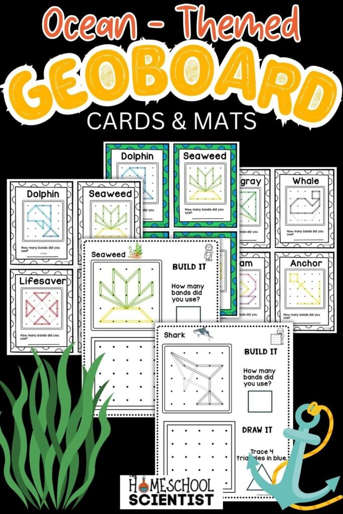 Ocean Themed Math Activities - The Homeschool Scientist