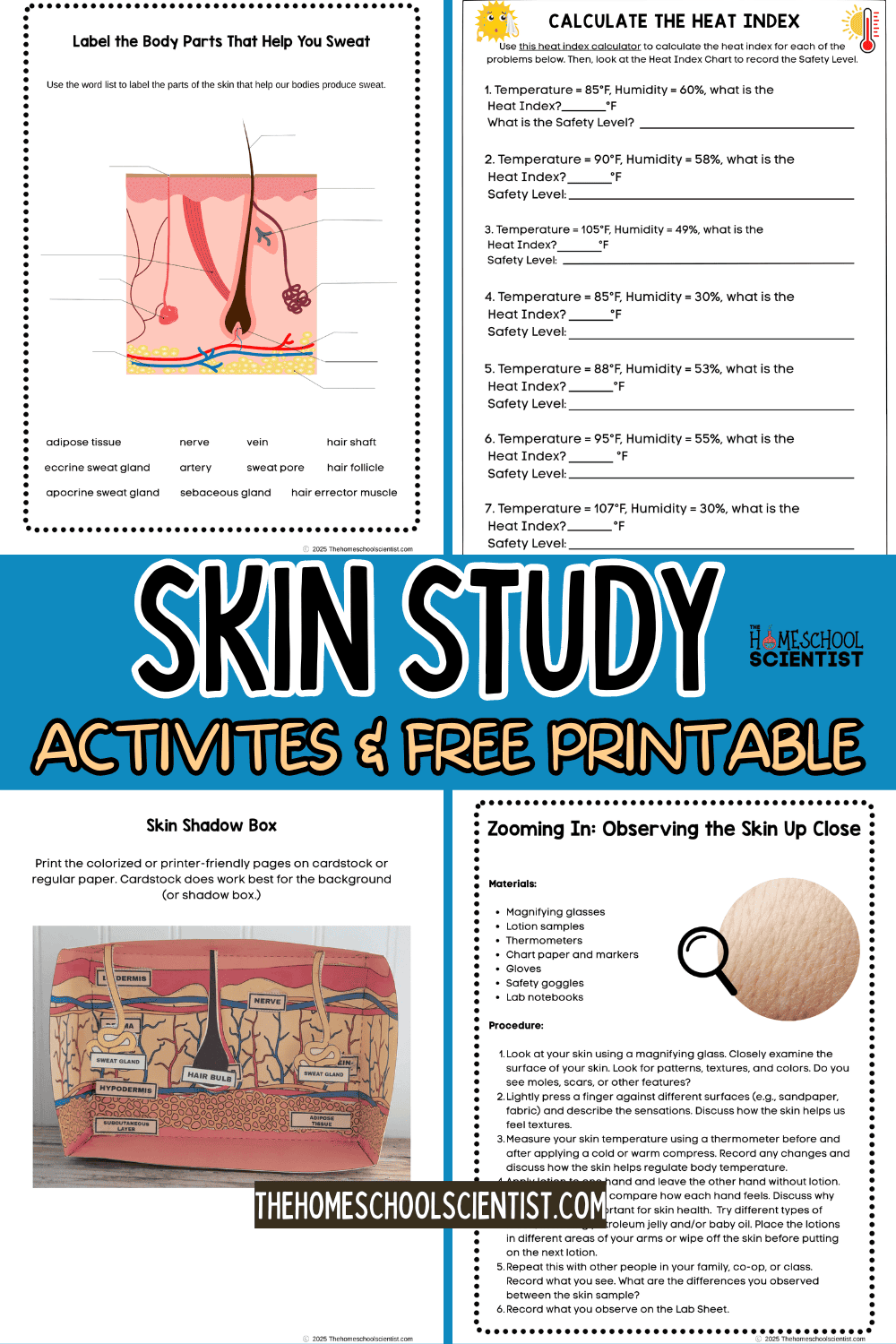 How to Make a Model of the Skin - The Homeschool Scientist