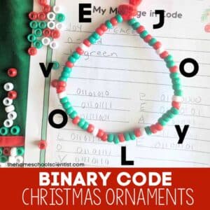 Binary Code Christmas Ornaments - The Homeschool Scientist