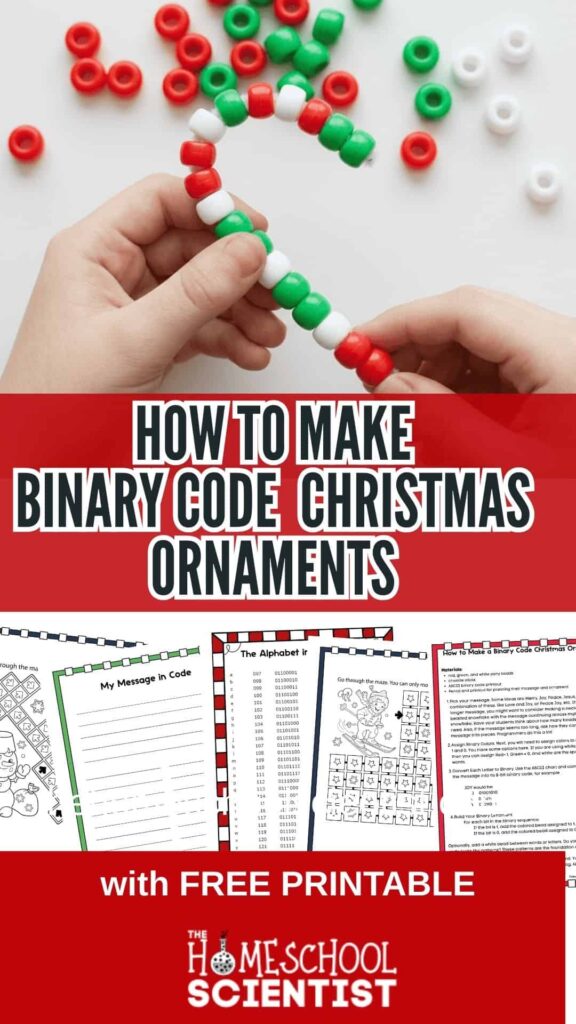 Binary Code Christmas Ornaments - The Homeschool Scientist
