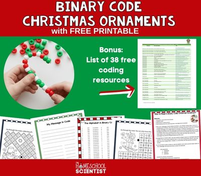 Binary Code Christmas Ornaments - The Homeschool Scientist