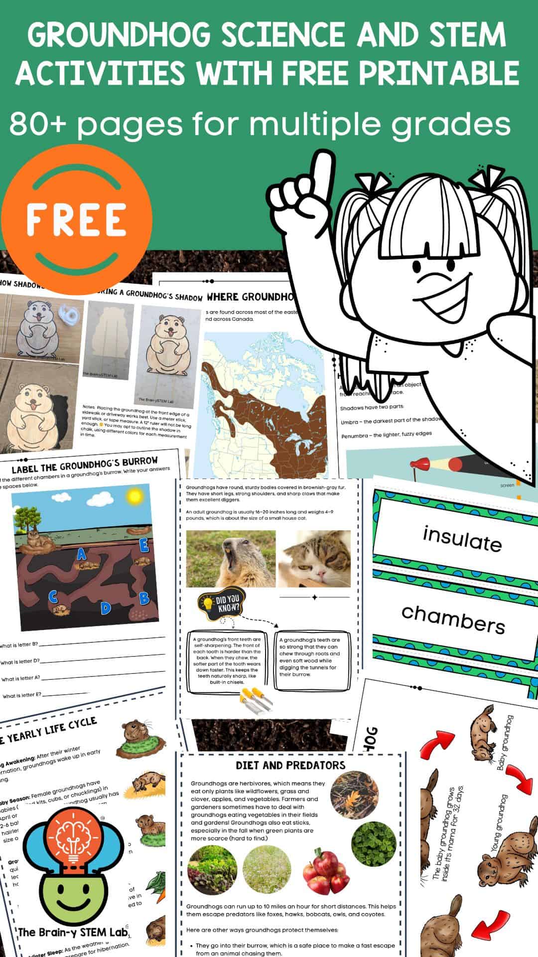 Groundhog Day Science Activities and Printable - The Homeschool Scientist
