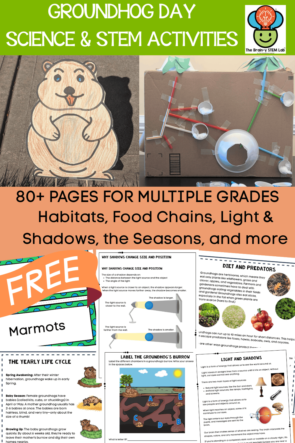 Groundhog Day Science Activities and Printable - The Homeschool Scientist