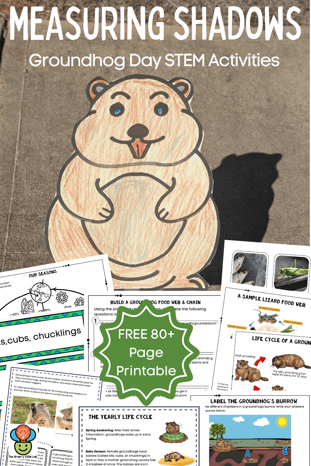 Groundhog Day Science Activities and Printable - The Homeschool Scientist