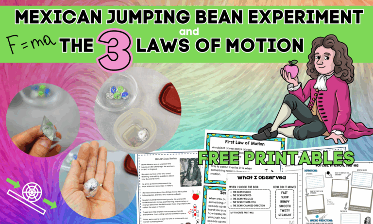 Mexican Jumping Bean Marble Experiment - The Homeschool Scientist