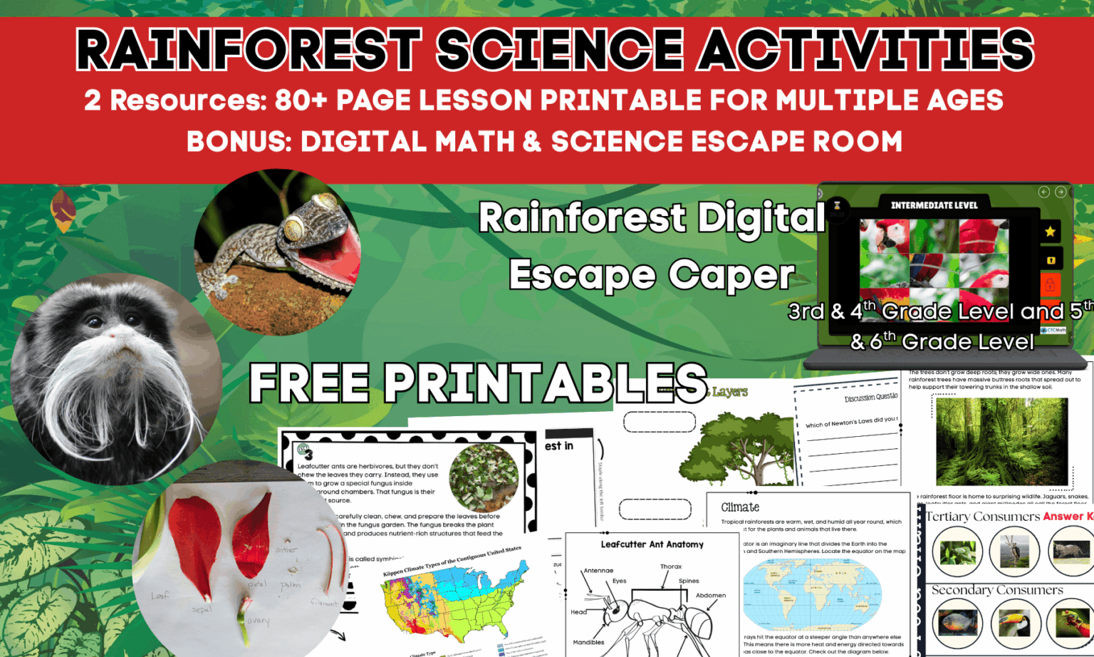 Rainforest Science Activities for Kids - The Homeschool Scientist